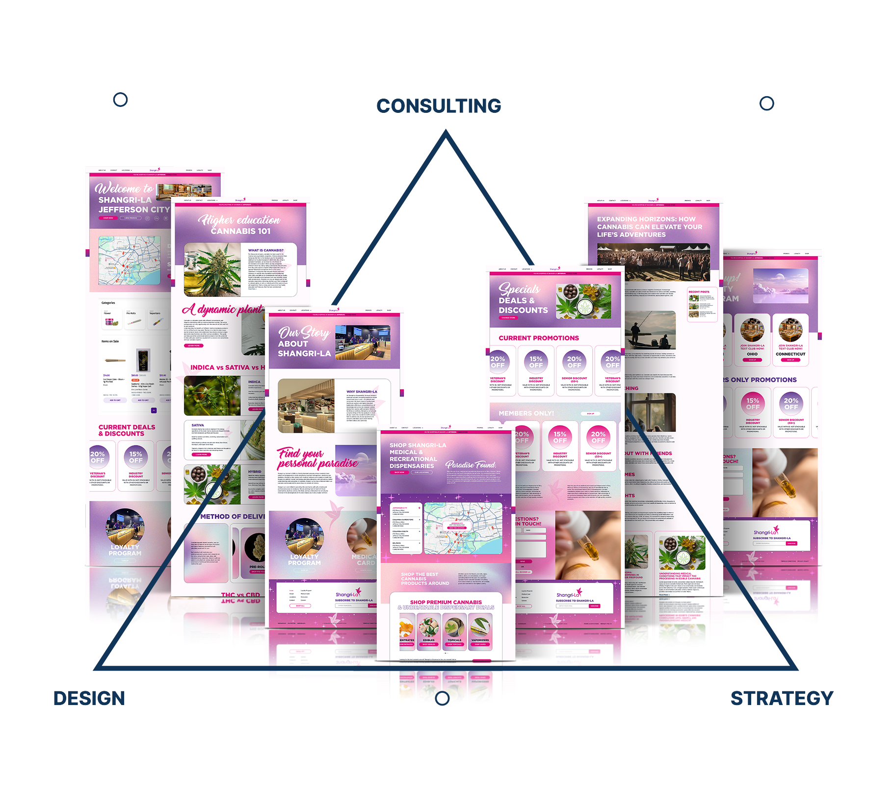 CASE-STUDY_WEB - MOST